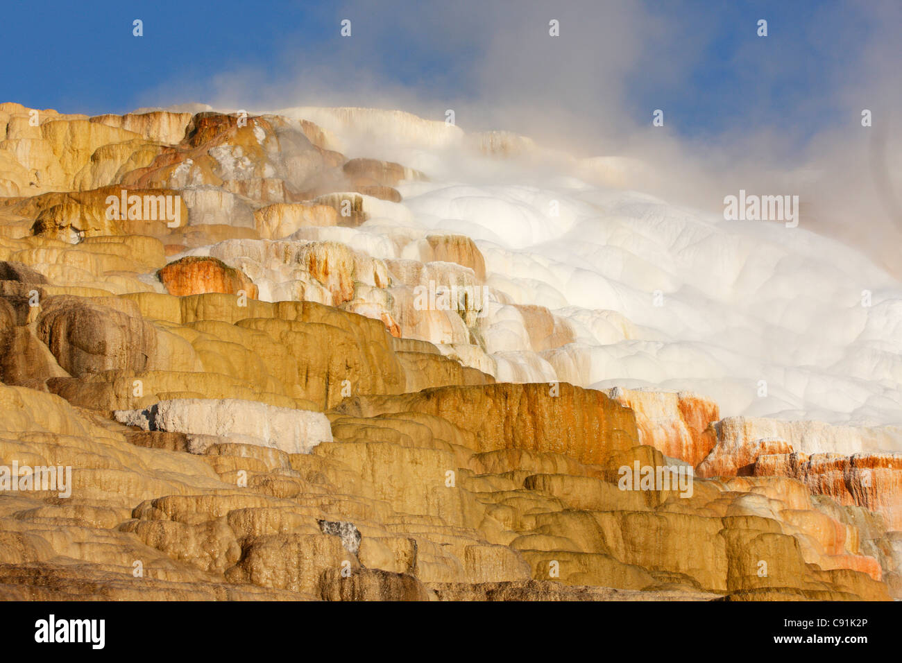 Canary Spring, Mammoth Hot Springs, Yellowstone National Park Stock ...