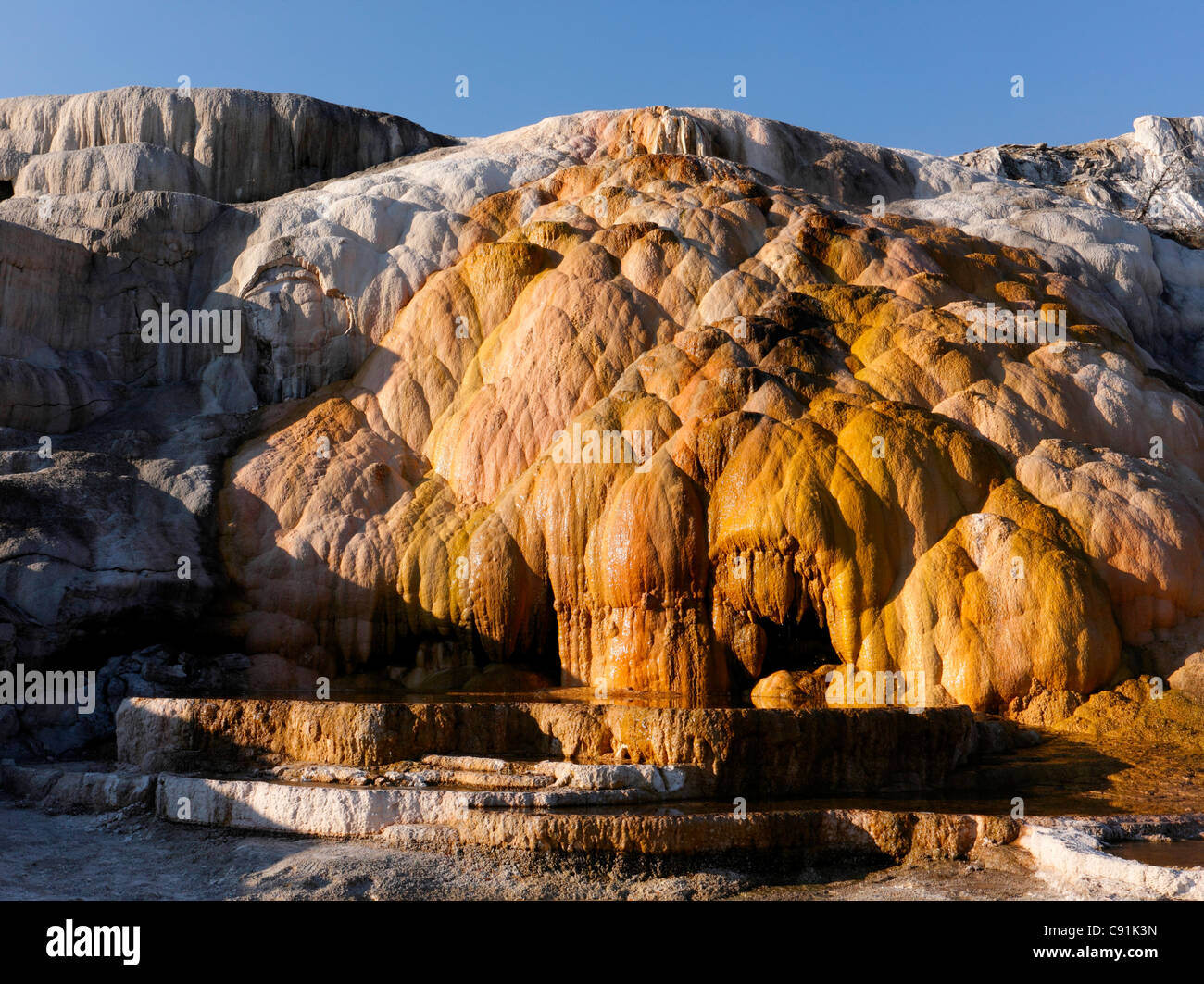 Cleopatra Terrace, Mammoth Hot Springs, Yellowstone National Park Stock ...