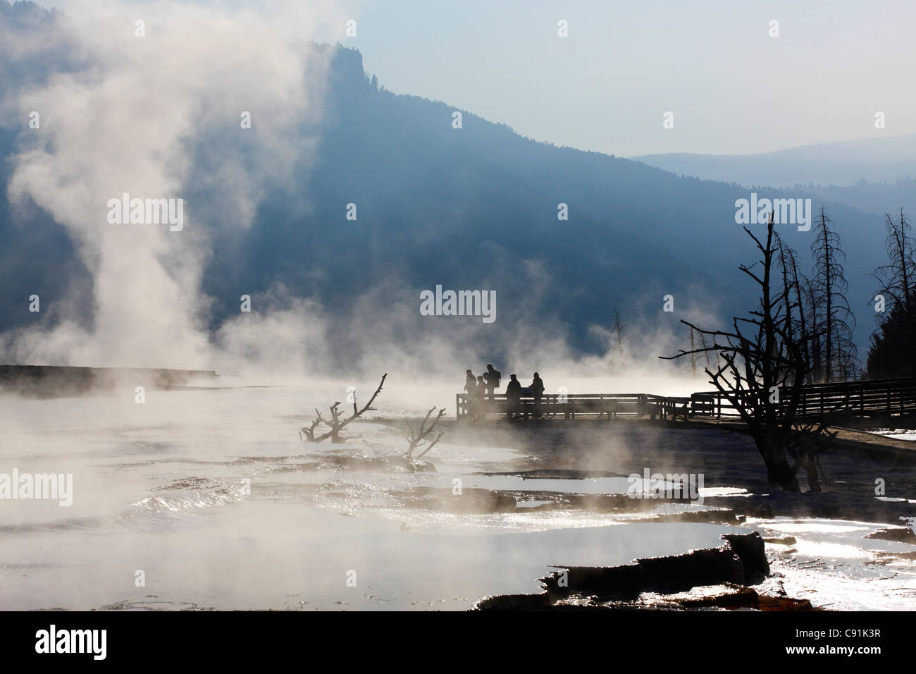 Main Terrace, Mammoth Hot Springs, Yellowstone National Park Stock ...