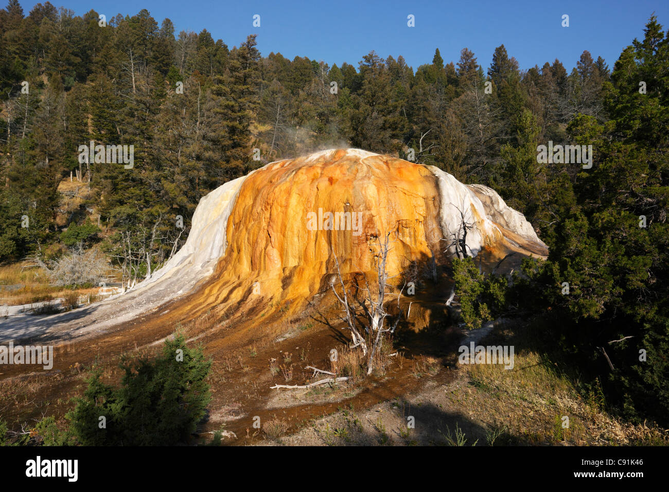 Orange Spring, Mammoth Hot Springs, Yellowstone National Park Stock ...