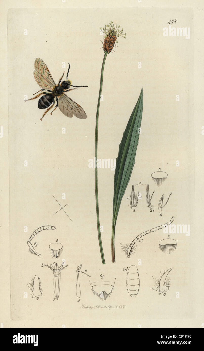 Melitta hi-res stock photography and images - Alamy