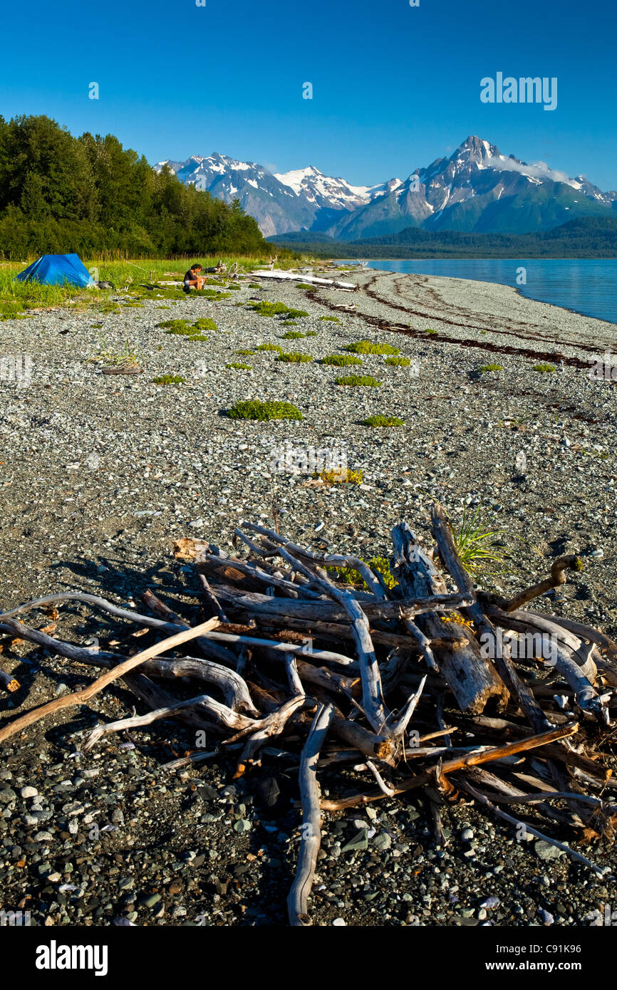 Camper at Goose Cove with Mt. Wright in the background, Muir Inlet ...