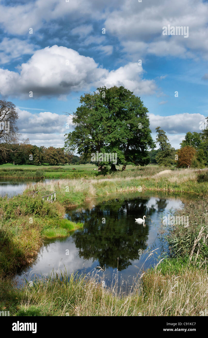 Basedow hi-res stock photography and images - Alamy