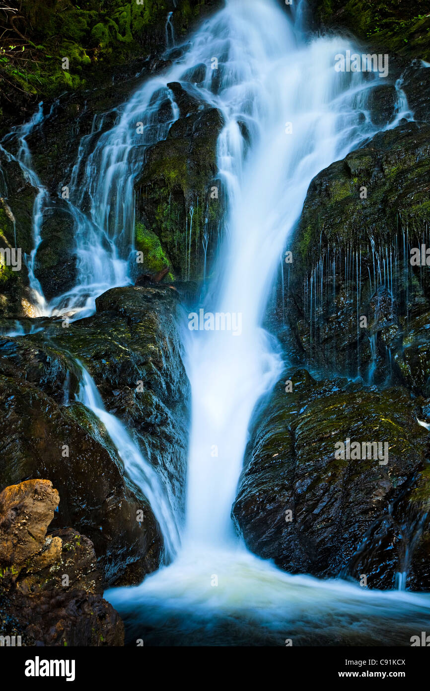A waterfall cascading over lichen covered rocks in temparate rainforest ...