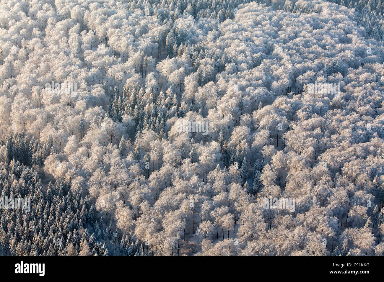 Aerial view of winter snow on a mixed forest near Hannover, Lower ...