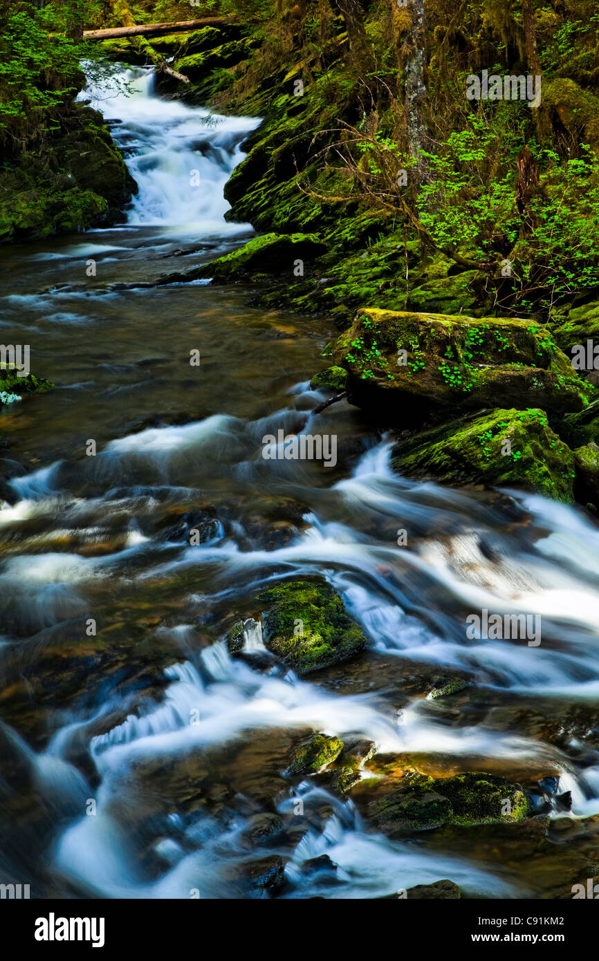 Lunch creek trail ketchikan hi-res stock photography and images - Alamy