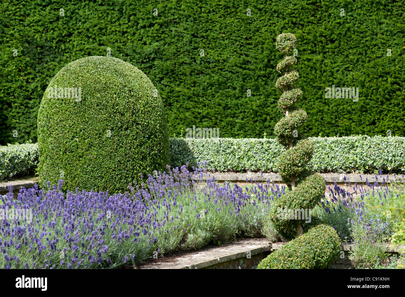 Formal garden design showing symmetrical planting and topiary work ...