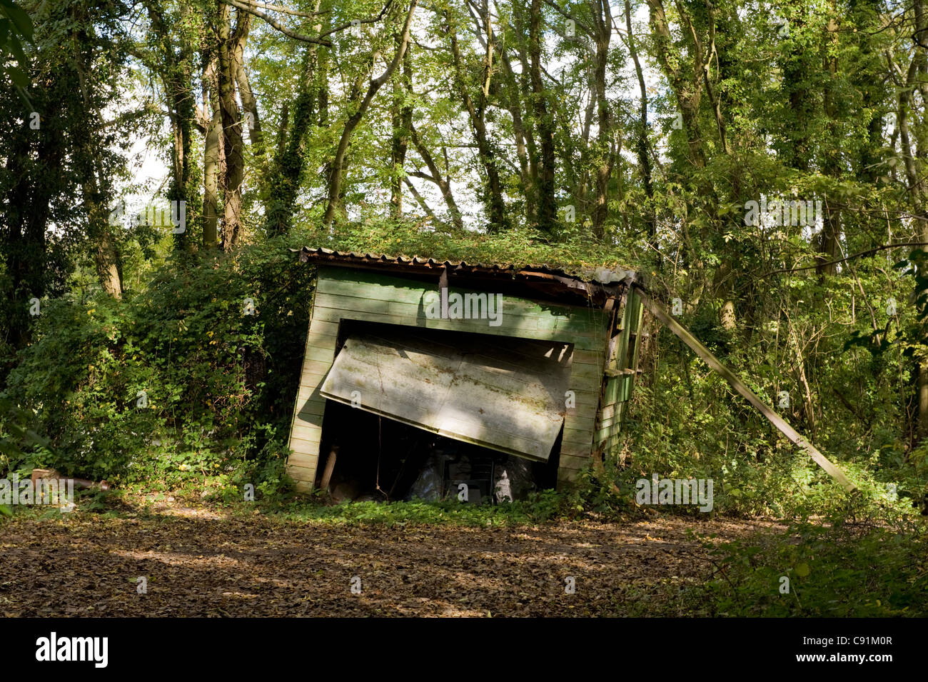 Abandoned hut in woods in the Surrey Hills, Surrey, UK Stock Photo - Alamy