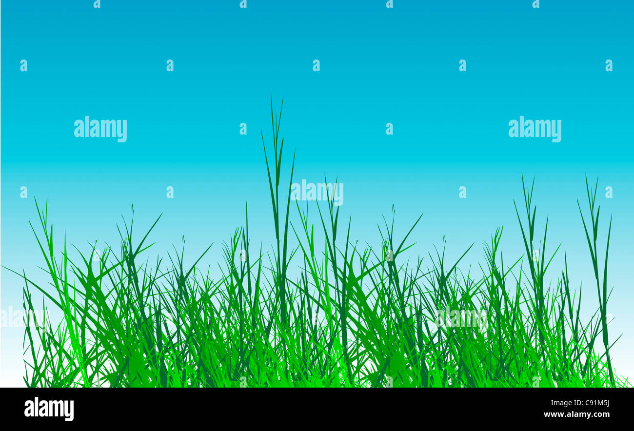 grass vector on sky background Stock Photo - Alamy