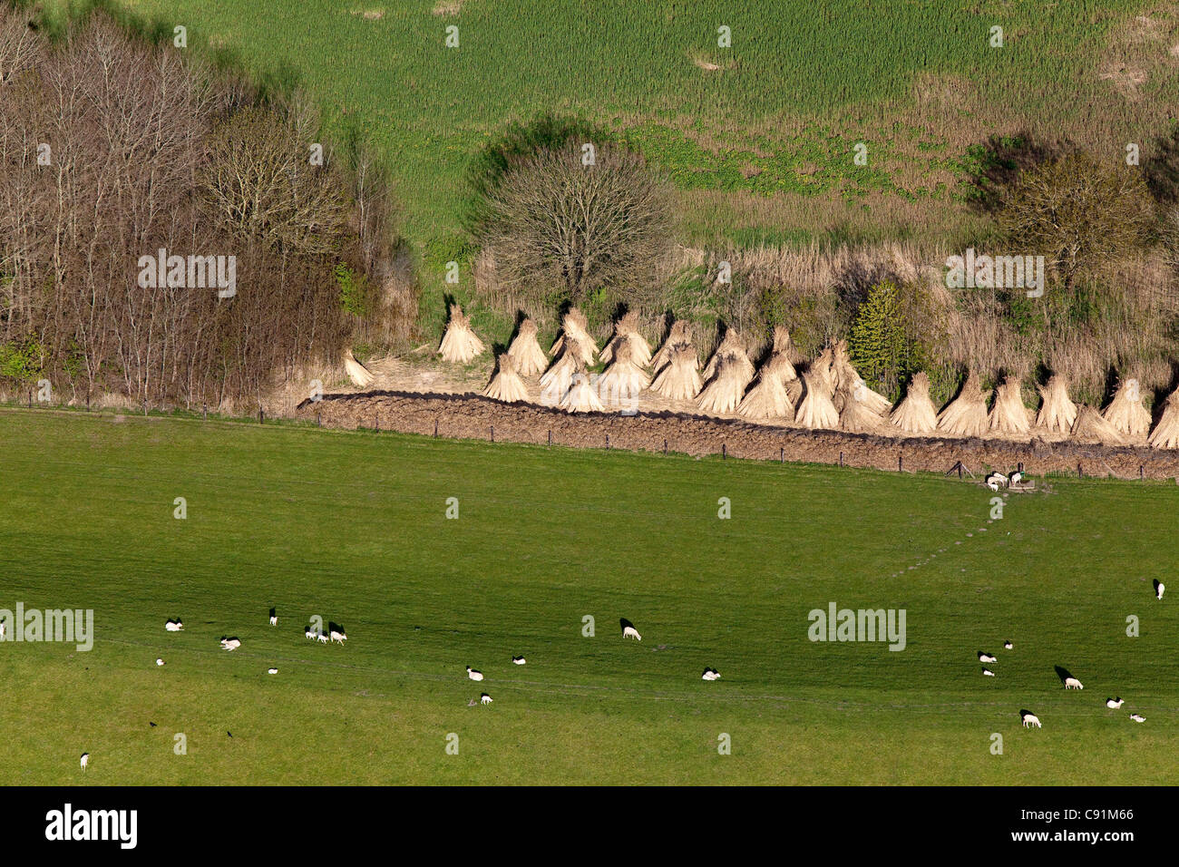 Aerial of landscape with sheaves of reeds, farming, Lower Saxony ...
