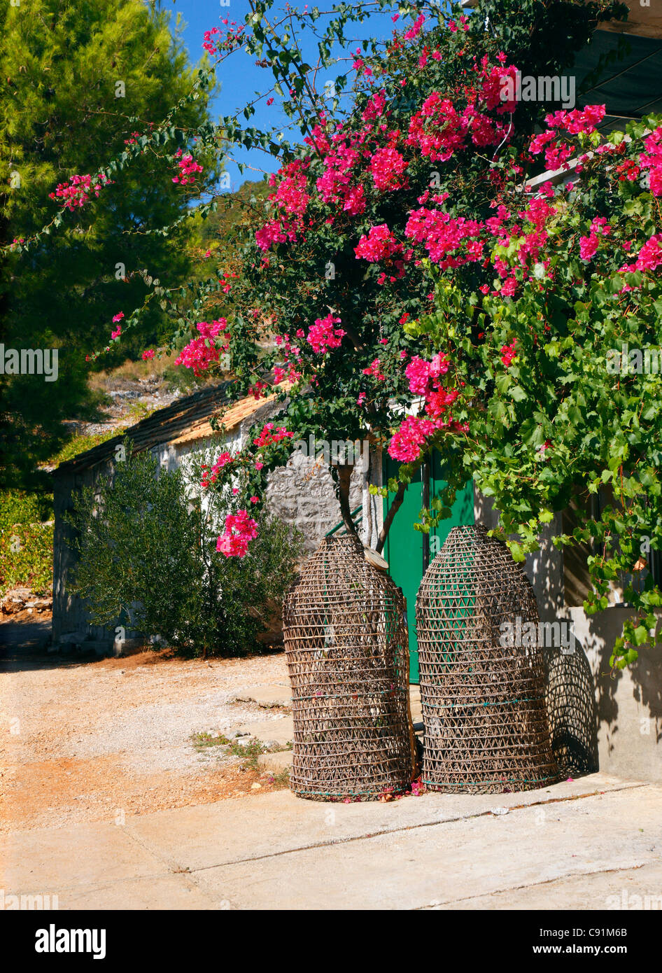 Croatian crab hi-res stock photography and images - Alamy