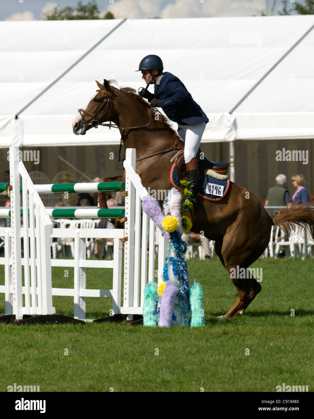 A competitor attempts to jump a fence in the show jumping competition ...