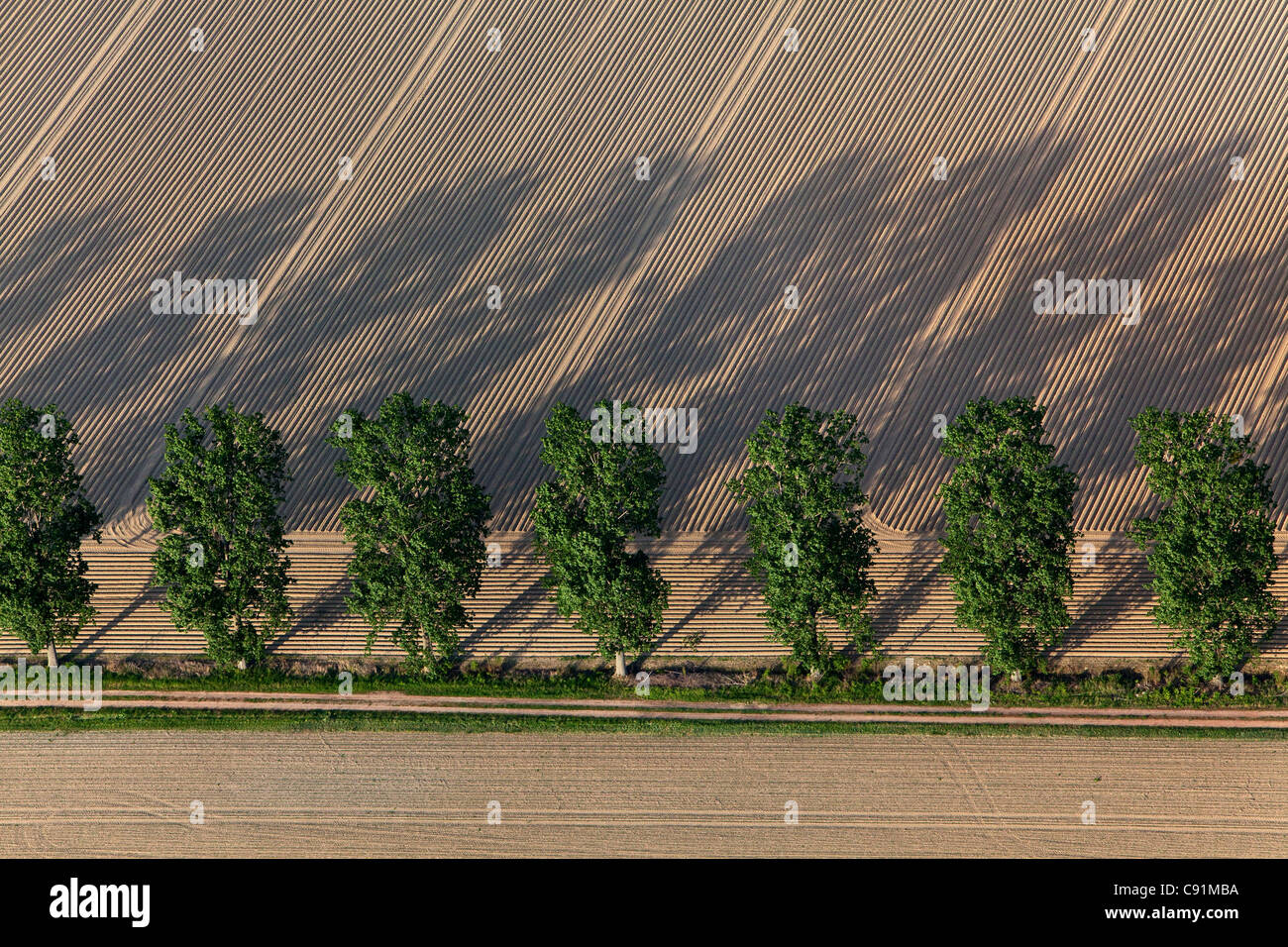 Aerial view of farm track parallel to trees, ploughmans furrows ...