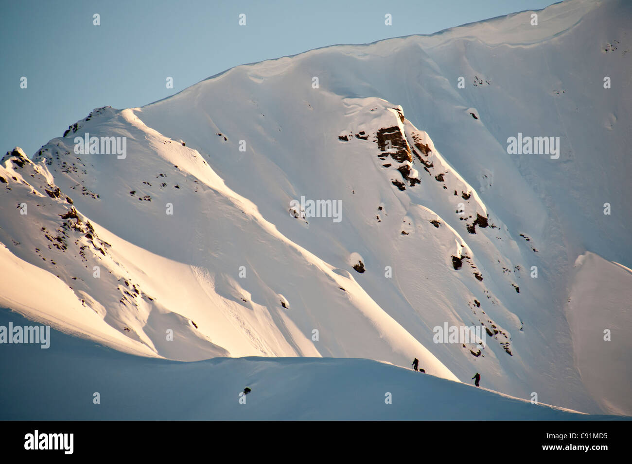 Backcountry skiers on a snowy ridge, Turnagain Pass, Kenai Mountains in ...