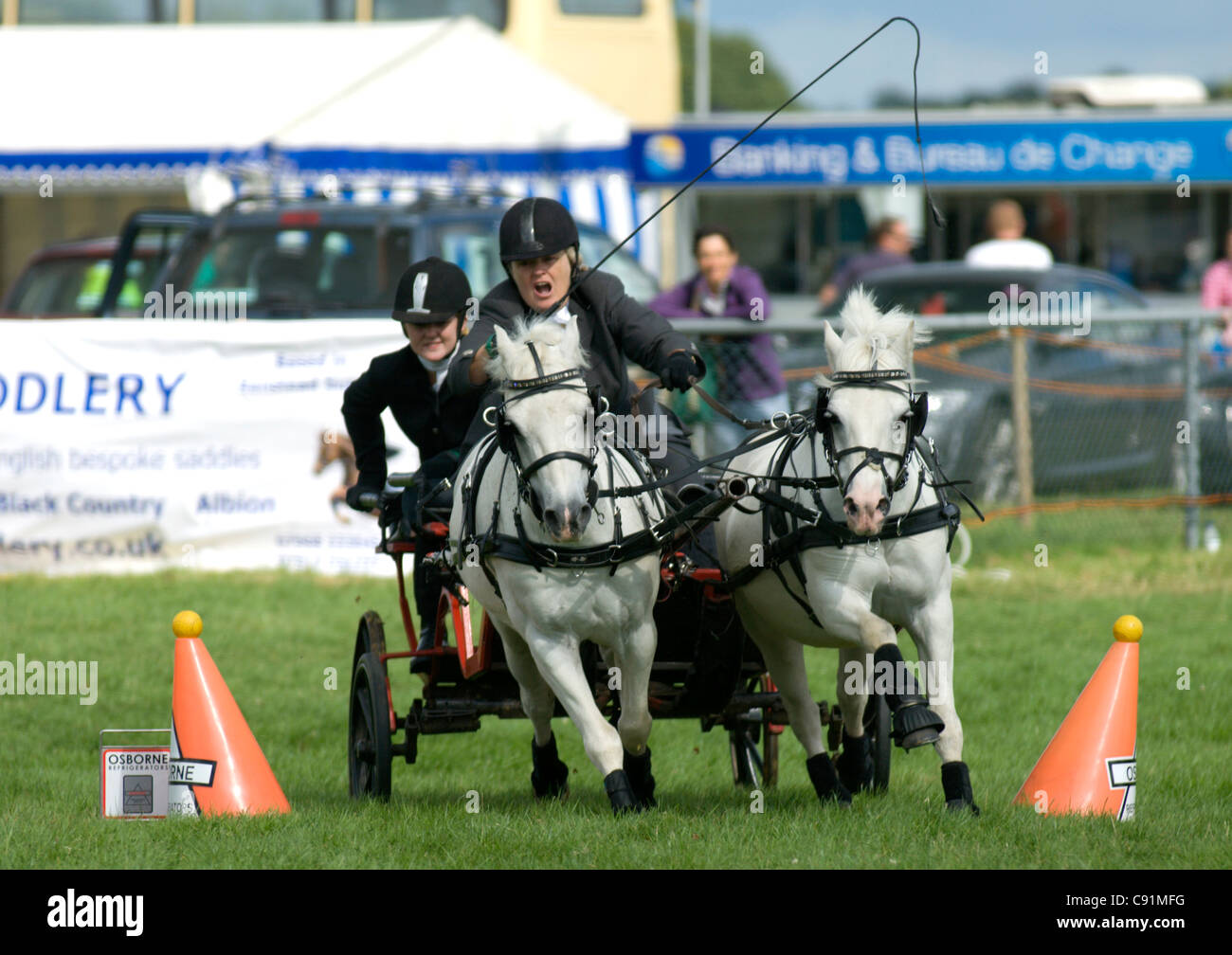 An image captures the skill and excitement of the scurry driving ...