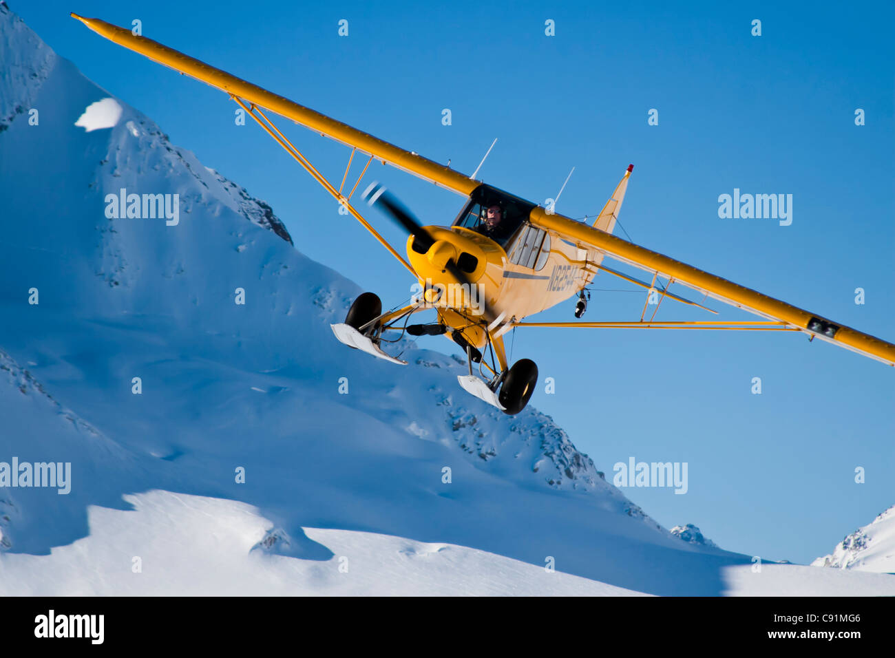Yellow Piper Super Cub with wheel skis preparing to land on a glacier ...