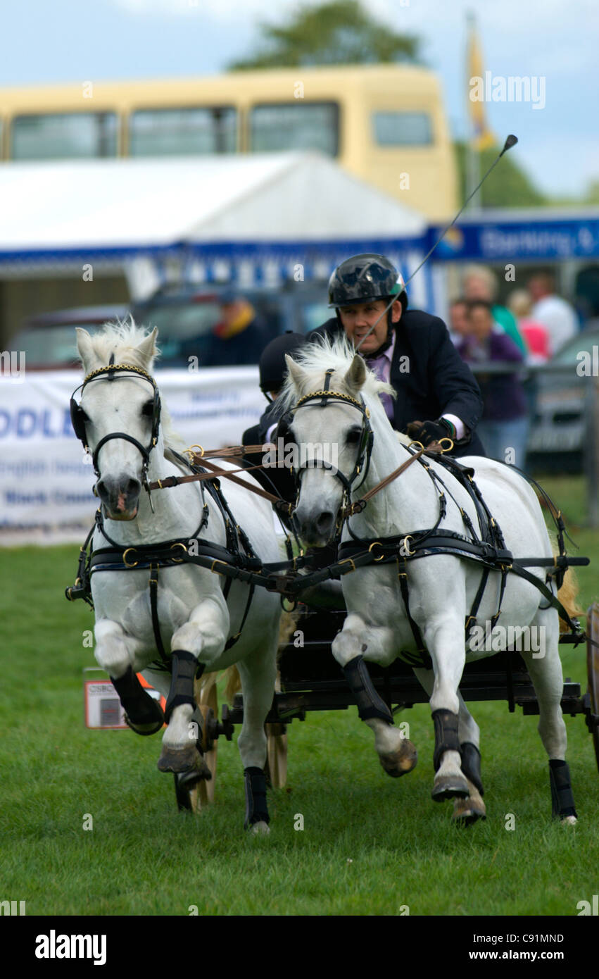 An image captures the speed and movement of the scurry driving ...
