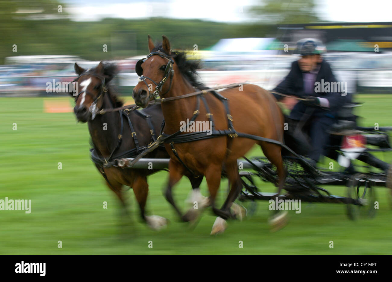 An image conjures up the speed and movement of the pairs scurry ...