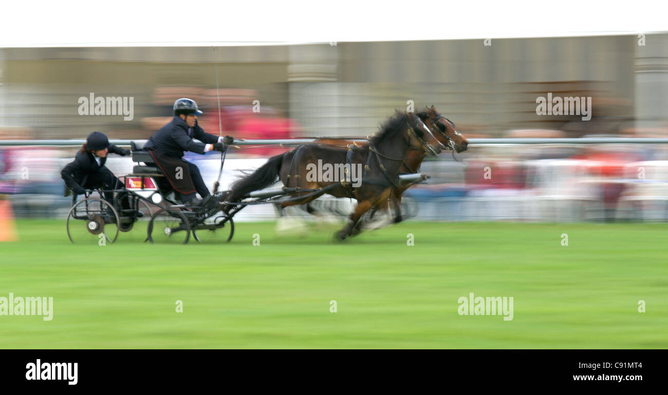 An image conjures up the speed and movement of the pairs scurry ...