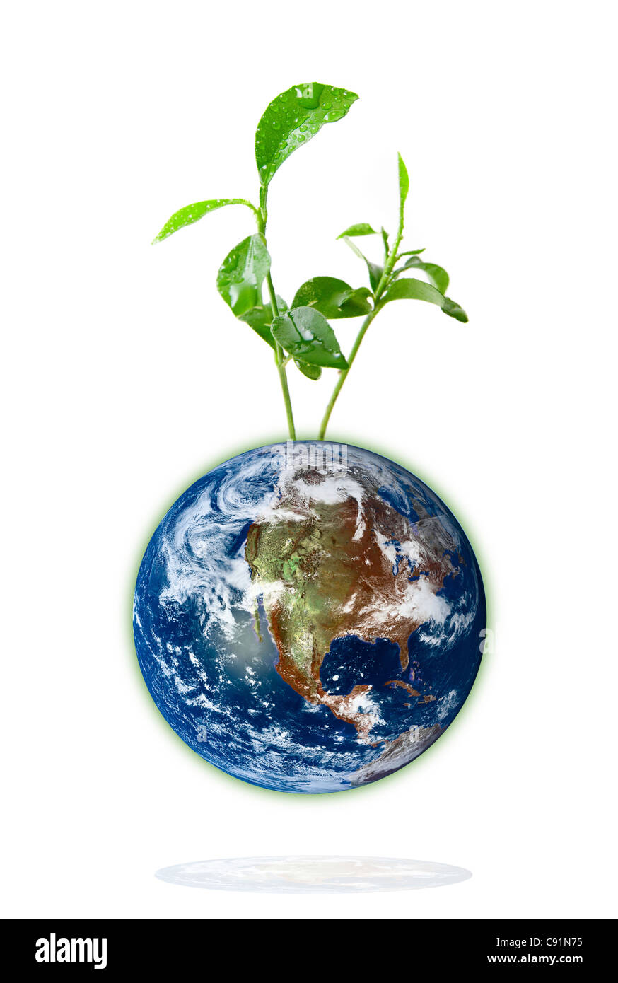 Baby plant growing from the earth over a white background. Data source ...