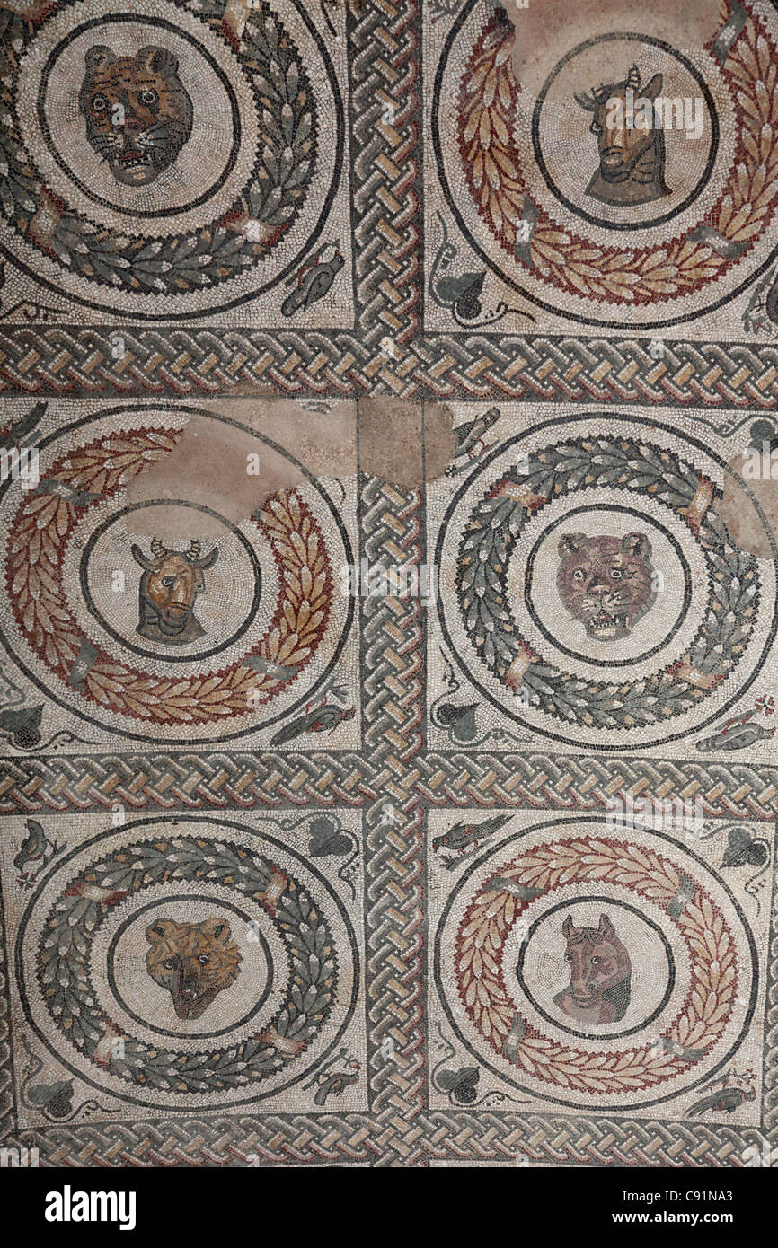In the Villa Romano there are 4th century Roman mosaics displaying ...