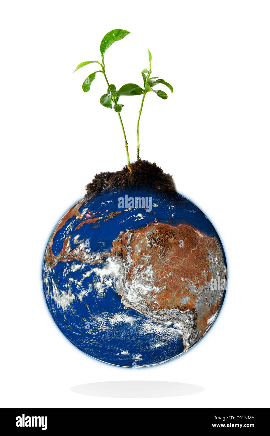 Baby plant growing from the earth over a white background. Data source ...