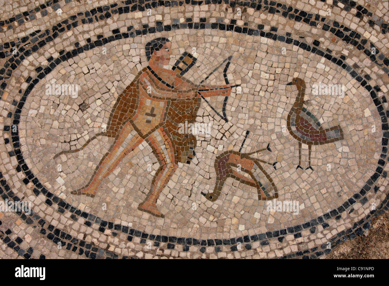 Stymphalian bird hi-res stock photography and images - Alamy