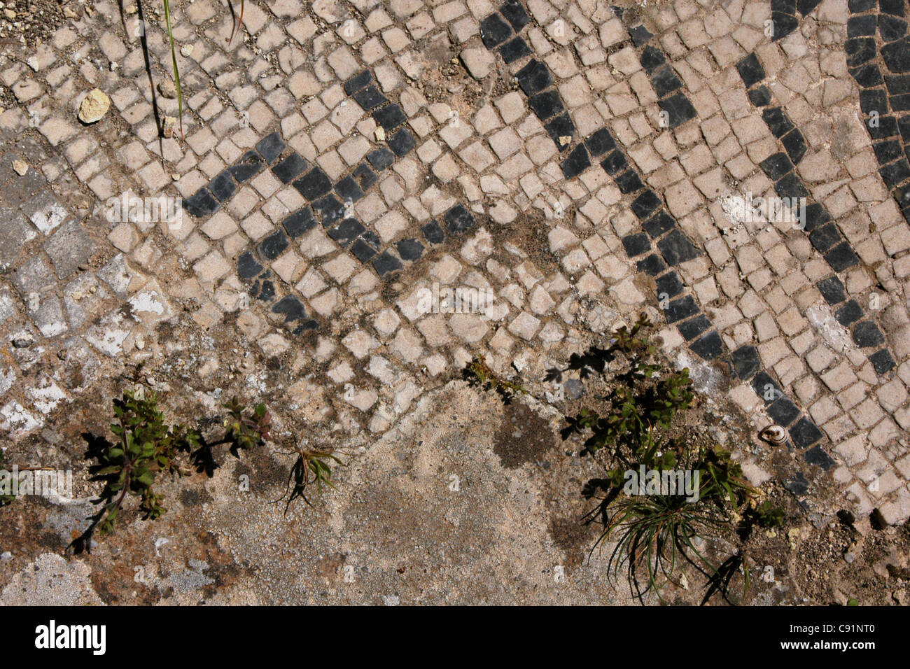 Roman swastika mosaic in Volubilis, Morocco Stock Photo - Alamy