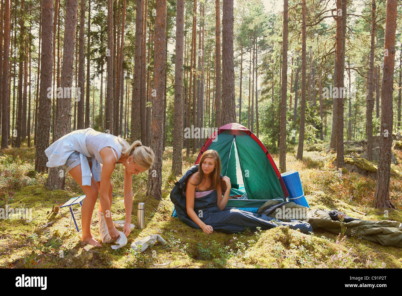 Women setting up campsite in forest Stock Photo - Alamy