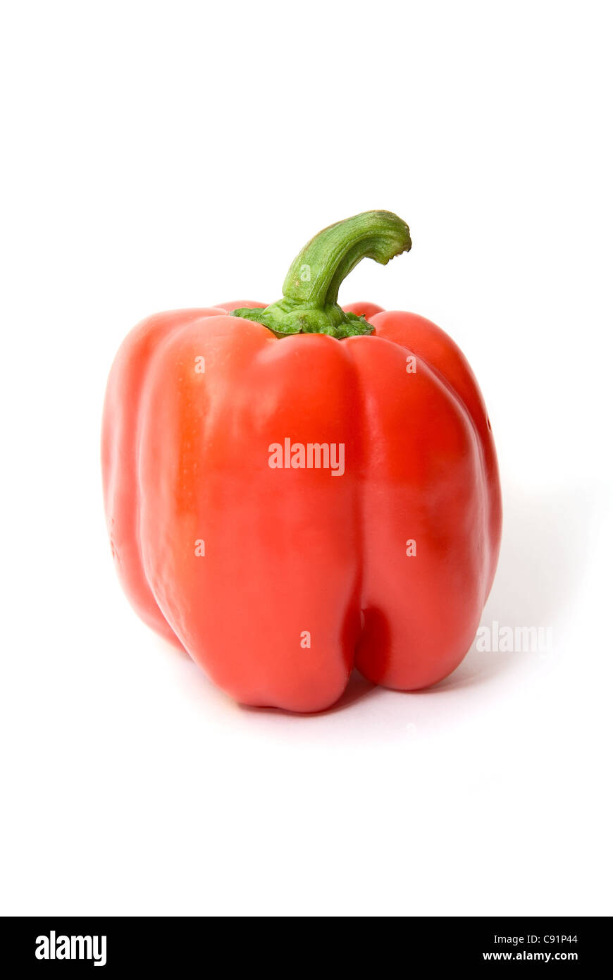 A red pepper on a white background Stock Photo - Alamy