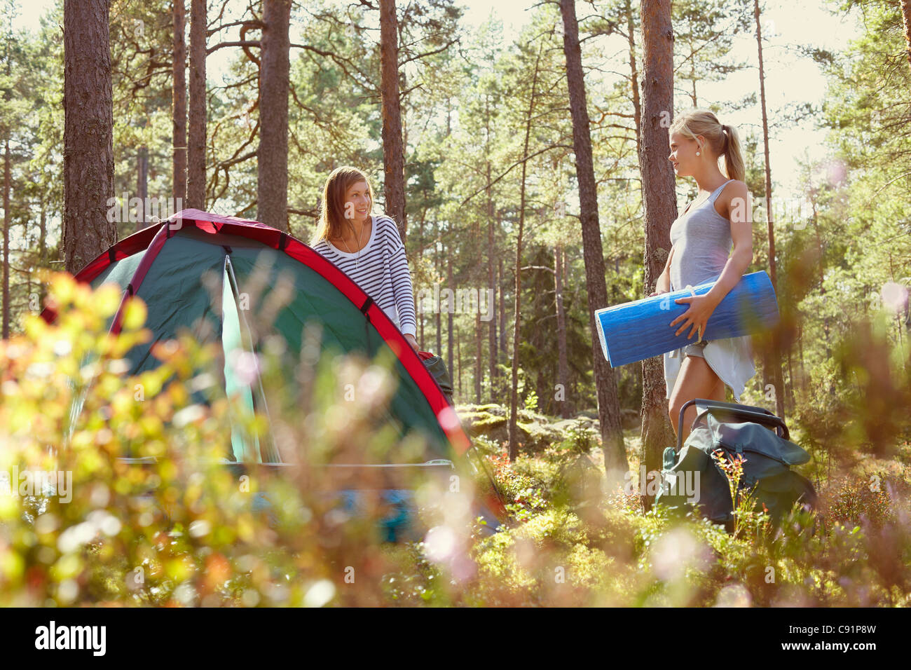 Women setting up campsite in forest Stock Photo - Alamy