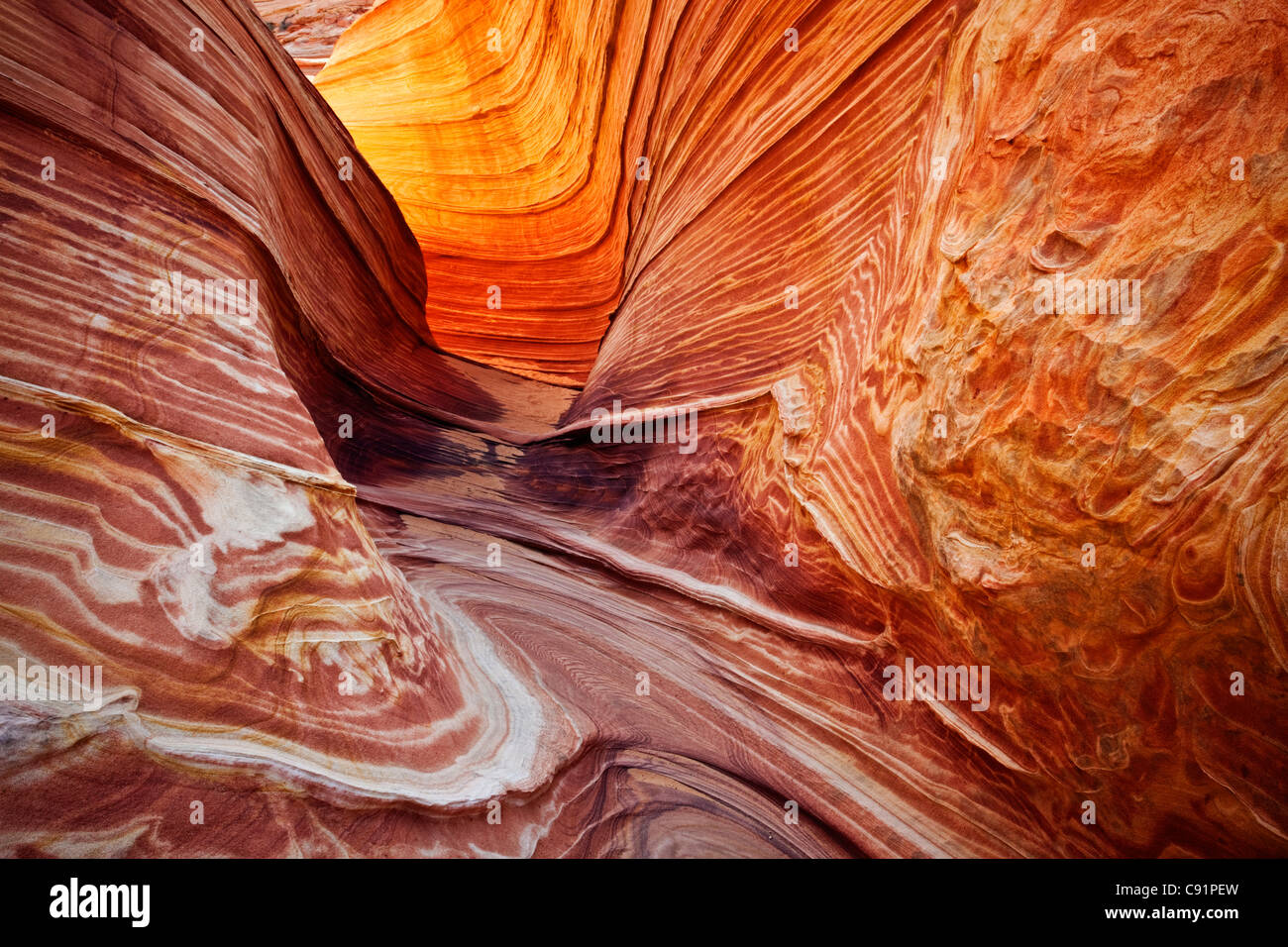 Slot canyon, The Wave, Coyote Buttes, Vermilion Cliffs National ...