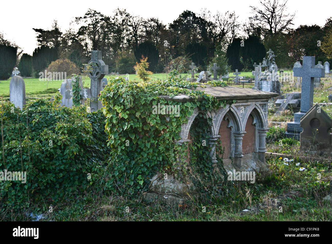 Ivy covered tomb Stock Photo - Alamy