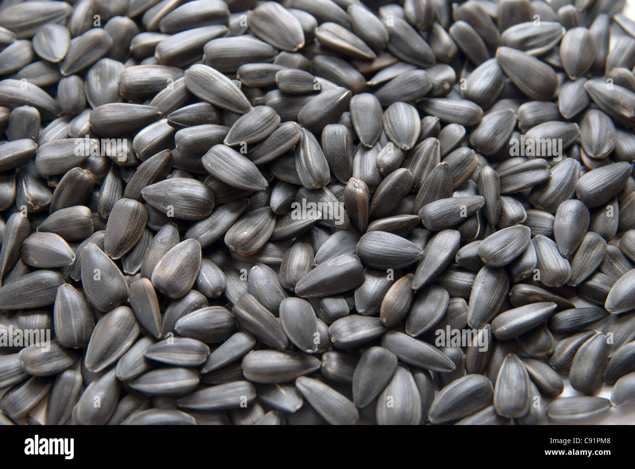Close-up of Sunflower seed. texture background Stock Photo - Alamy