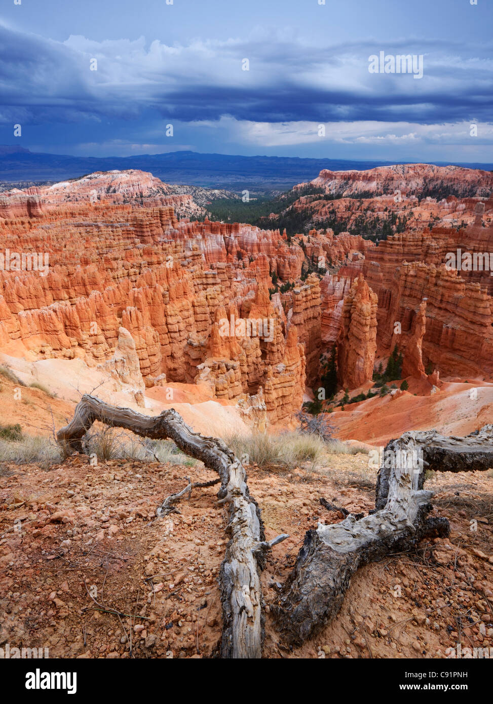 Parque nacional bryce canyon hi-res stock photography and images - Alamy