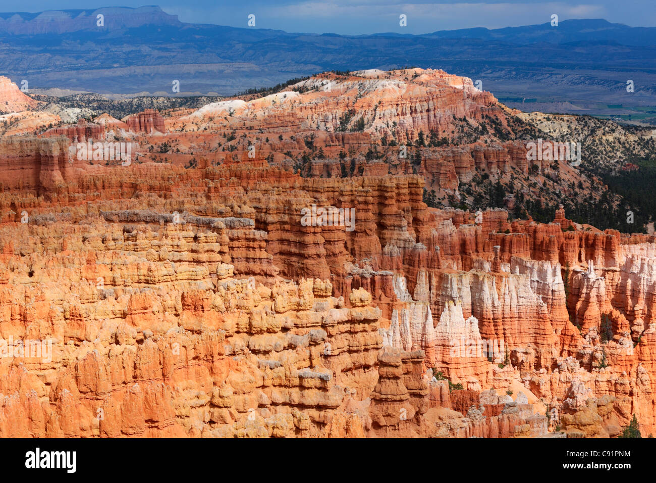 Parque nacional bryce canyon hi-res stock photography and images - Alamy