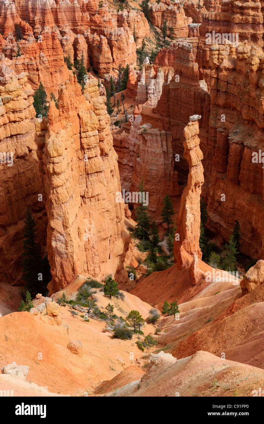 Parque nacional bryce canyon hi-res stock photography and images - Alamy