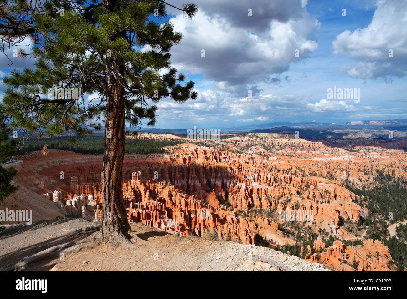 Parque nacional bryce canyon hi-res stock photography and images - Alamy