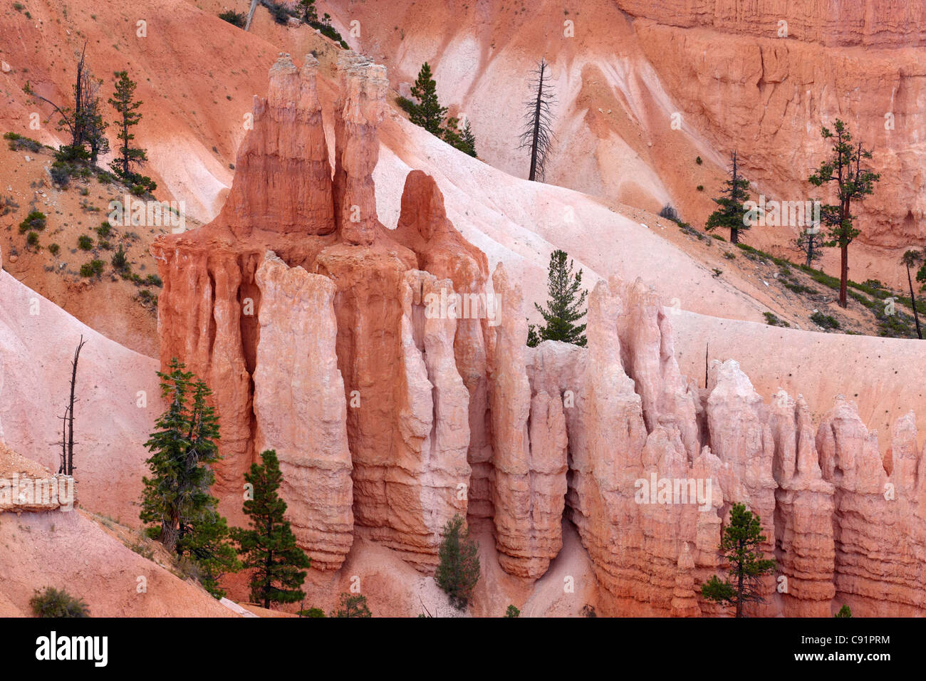 Parque nacional bryce canyon hi-res stock photography and images - Alamy