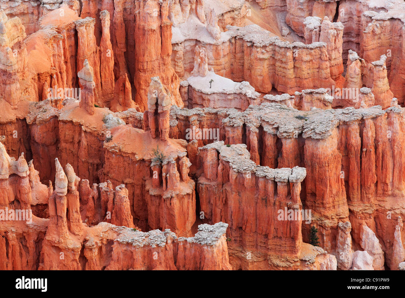 Hoodoos and rock formations, Bryce Canyon National Park Stock Photo - Alamy