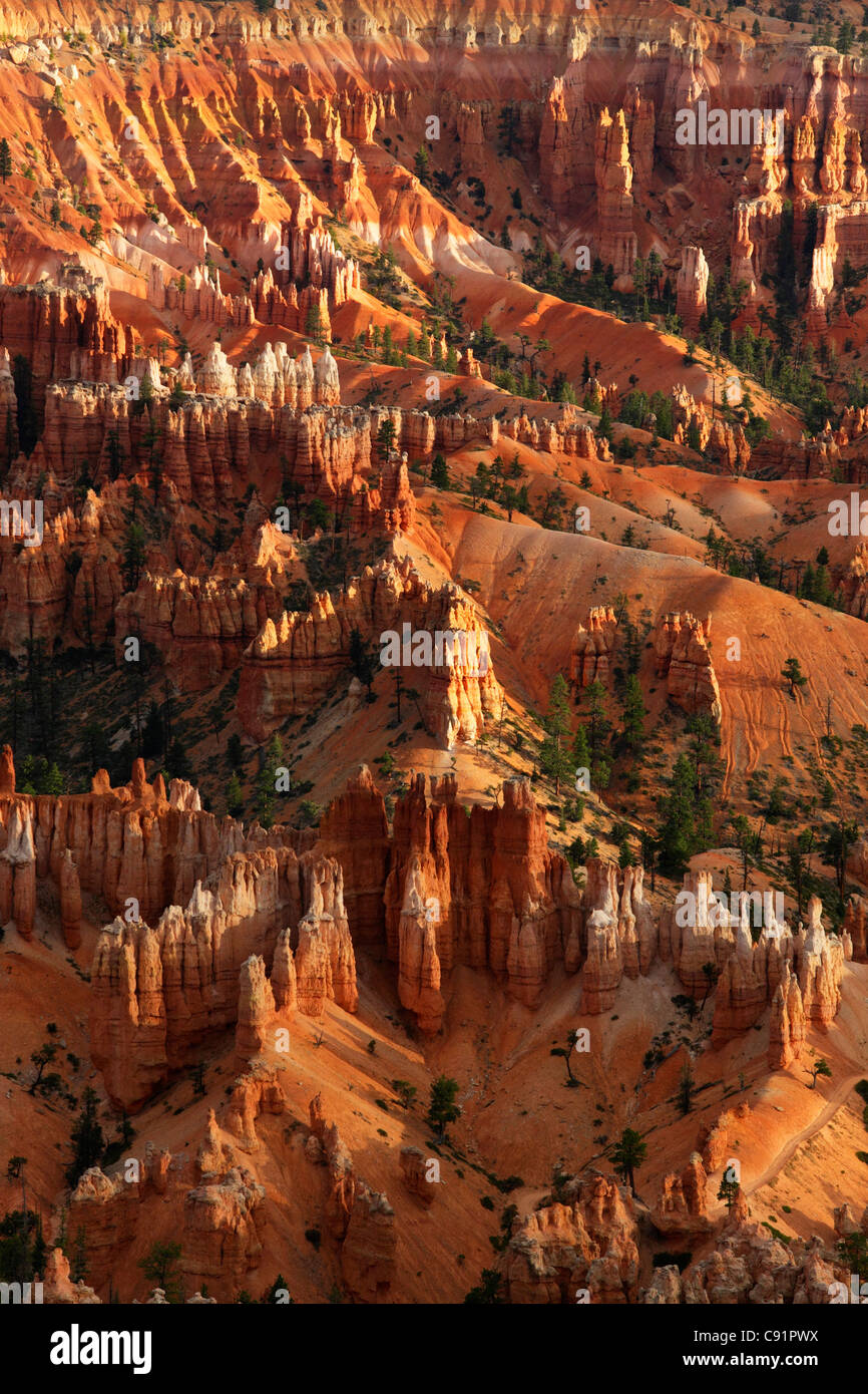 Parque nacional bryce canyon hi-res stock photography and images - Alamy