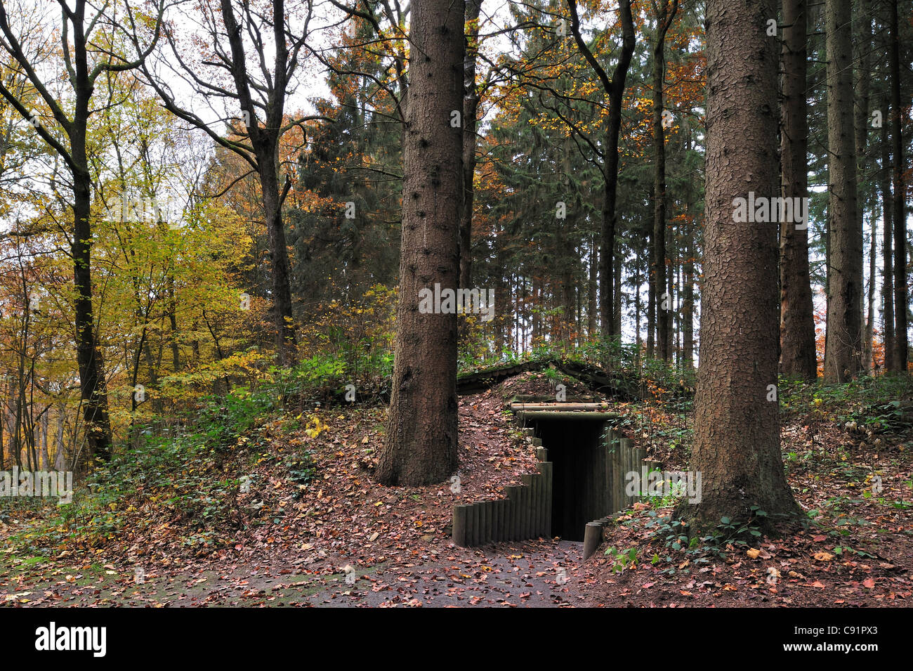 Entrance of cagna, WW2 hideout of Belgian maquisards resistance ...