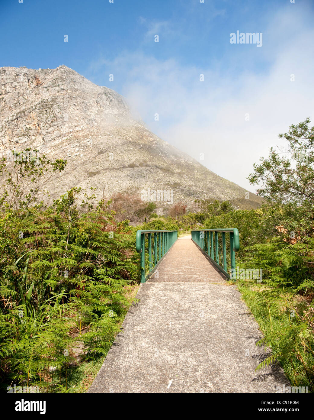 Harold Porter National Botanic Garden near Betty's Bay in the Western ...