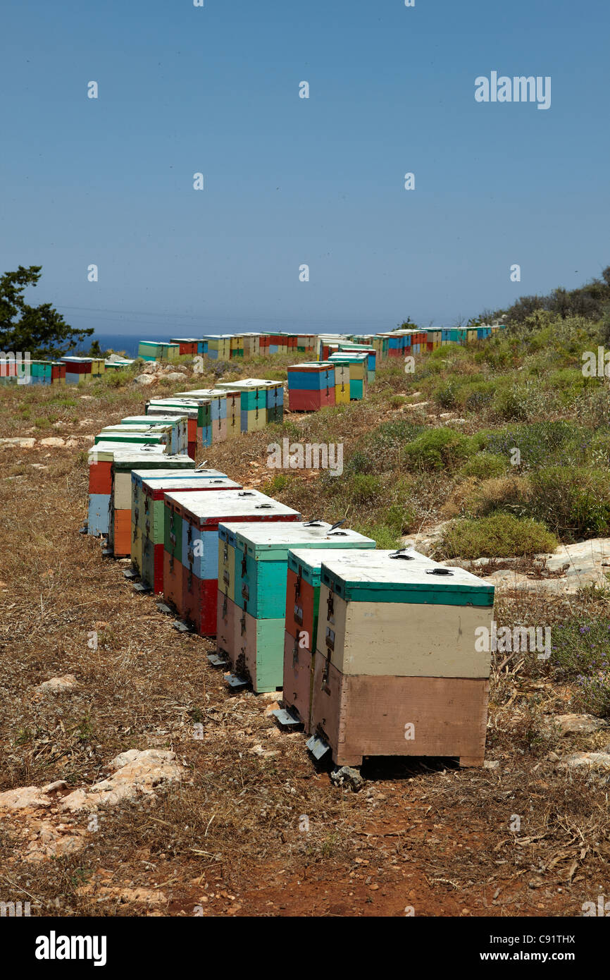 There are bee hives all over the rural landscape in Crete and honey is ...