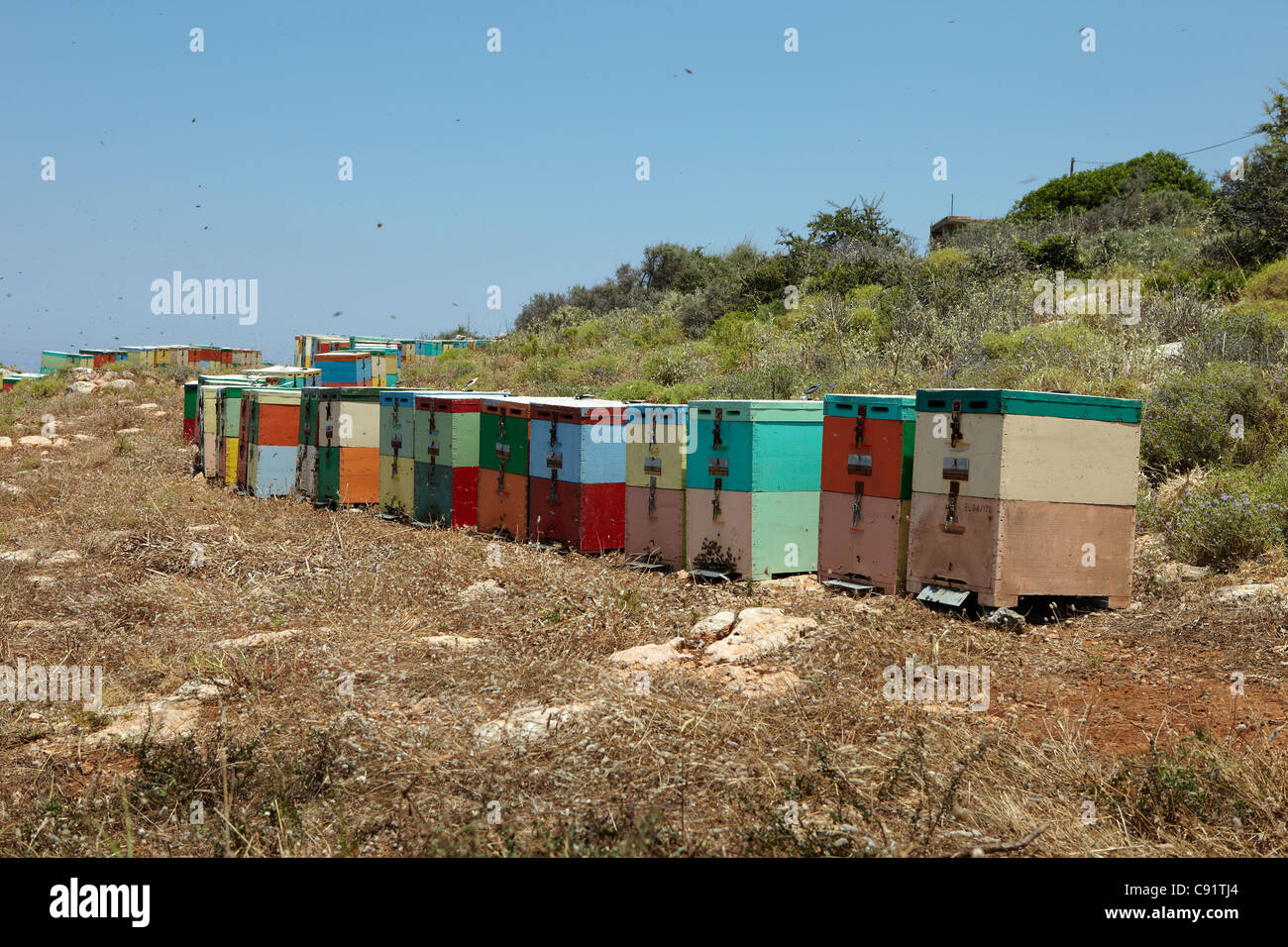 There are bee hives all over the rural landscape in Crete and honey is ...