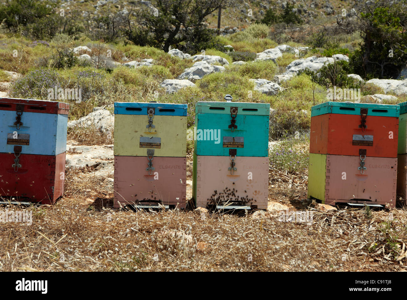 There are bee hives all over the rural landscape in Crete and honey is ...