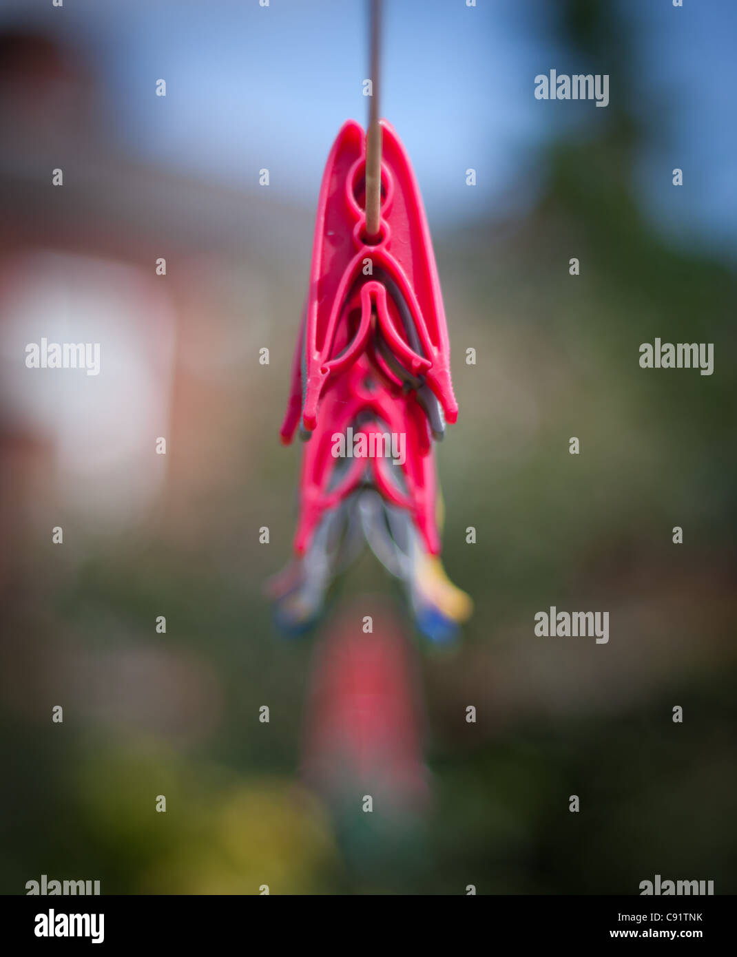 Pegs hanging on a washing line, a close up narrow focus shot using a ...