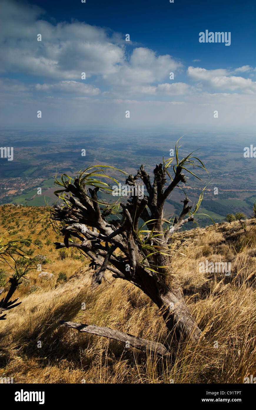 Views of southern Malawi can be seen from Lichenya Plateau on Mulanje ...