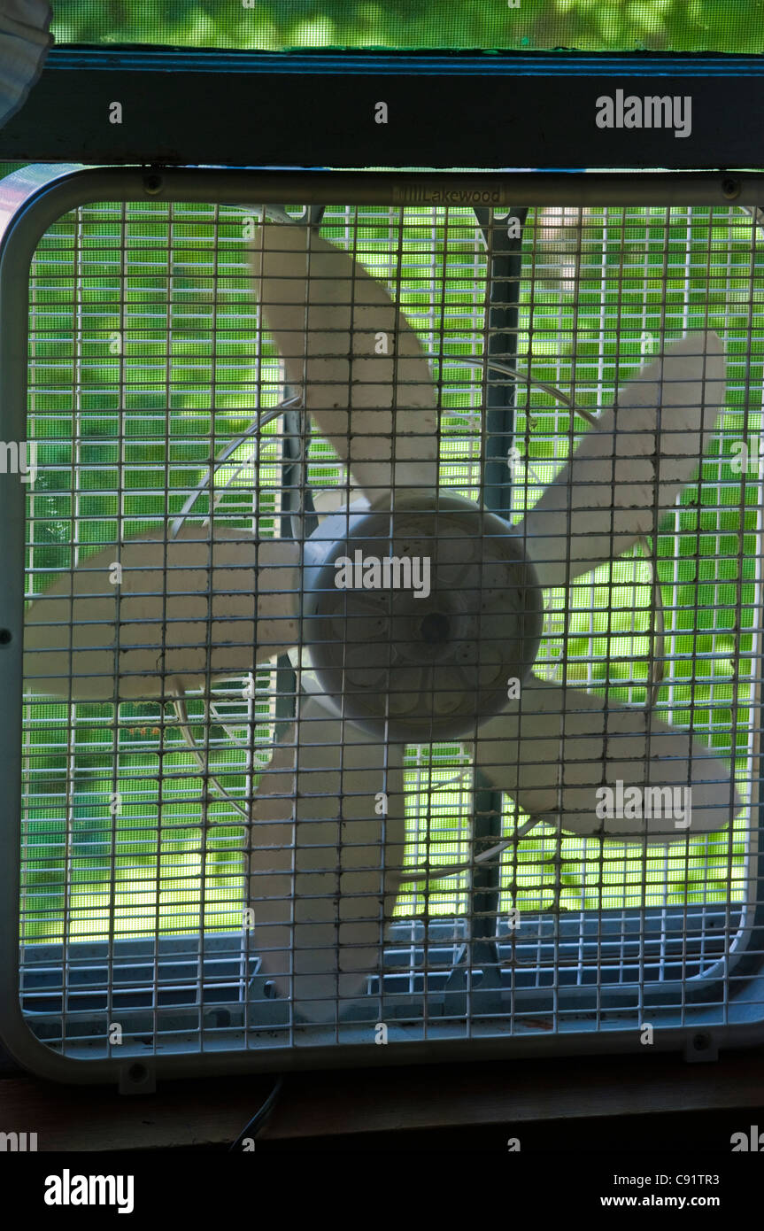 Decorative Circular Window High Resolution Stock Photography and Images ...