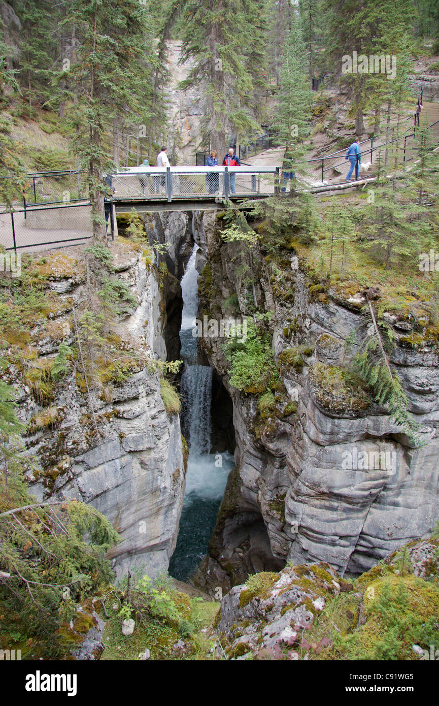 The Jasper national park in the Canadian Rockies is a large area of ...